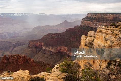 그랜드 캐년 국립 공원의 안개가 자욱한 협곡의 장엄한 전망 배경에 푸른 나무 0명에 대한 스톡 사진 및 기타 이미지 0명 경관 관목 Istock