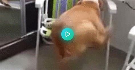 I Can Get This  On Imgur