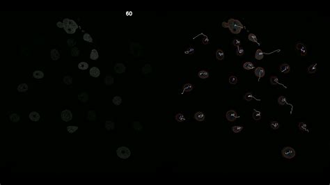 Overlap Based Cell Tracking Youtube