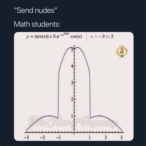 Shes Going To Get The D The Derivative R Mathmemes