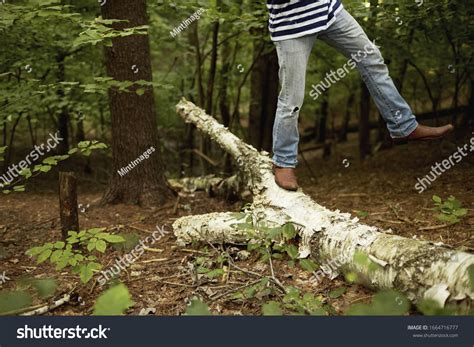 Tree Trunk As A Human Legs Images Stock Photos D Objects Vectors Shutterstock
