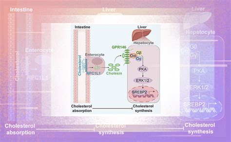 学术科研 清华大学