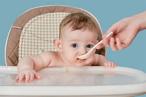 엄마 먹이 아이 에 높은 의자에 숟가락으로 유아 아기 먹이 푸른 스튜디오 배경 생후 6개월 된 아이는 아기 의자에 앉아 있는 동안 사과소스를 먹고 공간을 복사합니다 2명에