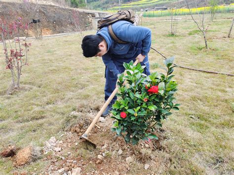 天生桥局团委组织开展“‘植此青绿 ‘电亮春天”植树节活动员工检修鲁西
