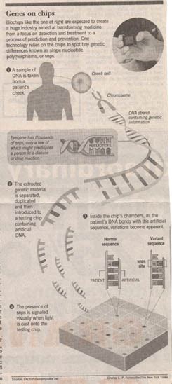 Biochips Raise Critical Issues Of Personal Privacy BiologyWriter