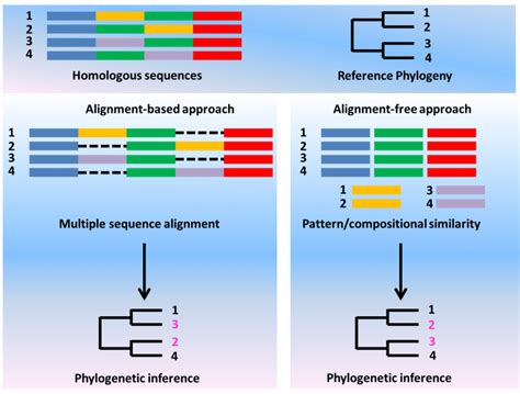 Difference Between Similarity And Identity In Sequence Alignment