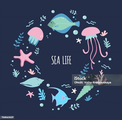 흰색 배경에 고립 된 바다 생물과 원 모양의 해양 개념 손으로 그리기 물고기 산호 껍질 해파리와 해초 바다를 테마로 한 디자인