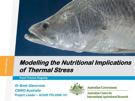 Ppt Modelling The Nutritional Implications Of Thermal Stress Powerpoint Presentation Id3351307