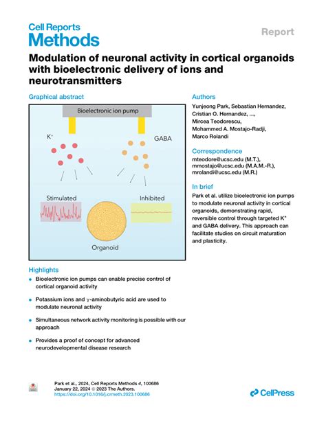 Pdf Modulation Of Neuronal Activity In Cortical Organoids With
