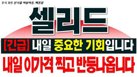 셀리드 주가전망 긴급 내일 중요한 기회입니다 이 기회 살리셔야 돼요 이가격 찍고나서부터 반등나옵니다 셀리드 Youtube