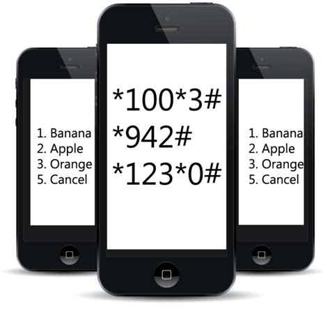 USSD Mobile Application Development Masterclass Solutions