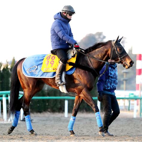 23年函館スプリントsを制したキミワクイーンが骨折 3か月以上の休養見込み｜ニフティニュース