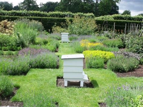19 Honey Bee Garden Ideas You Gonna Love Sharonsable