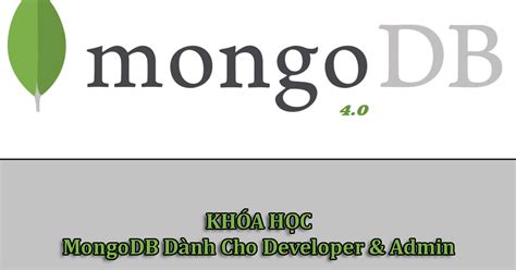 Chia Sẻ Khóa Học Mongodb 40 Mongodb Developer And Admin Course Khóa