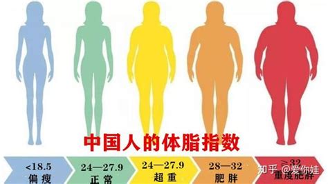 判断肥胖的3个基本方法 知乎
