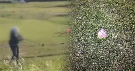사반 제보 잔디밭 곳곳에 뻥뻥공원에 구멍 뚫고 파크골프