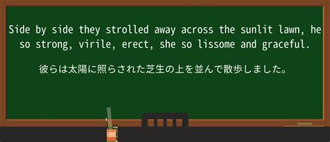 【英単語】lissomeを徹底解説！意味、使い方、例文、読み方