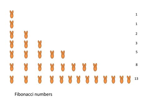 PPT Exponential Growth PowerPoint Presentation Free Download ID 5218367