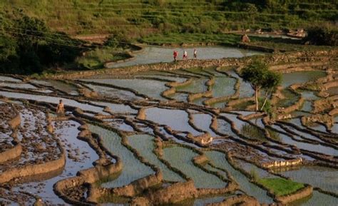 The Role Of Geographical Information Systems Gis In Modern Mapping Geolutins