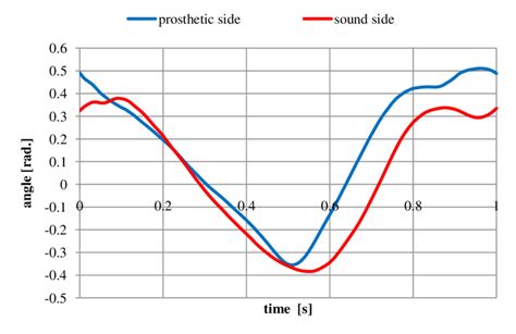 4 Hip Joint Rotation Download Scientific Diagram