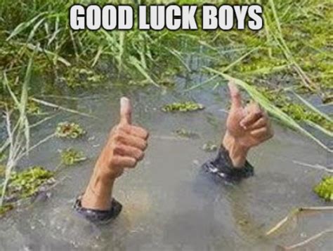 Reddit Dive Into Anything