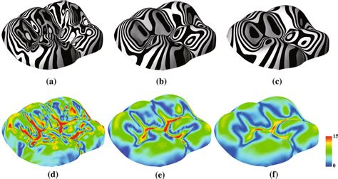 The Tooth Model Zebra On The Fitting Surface A Fairing Surface By Download Scientific