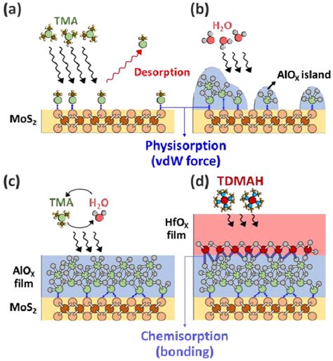 Atomic Scheme Of The Key Steps During Lh Dielectric Deposition Process
