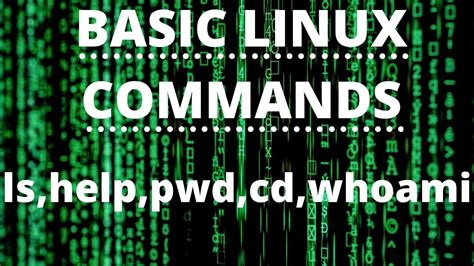 Basic Linux Commands Lshelppwdcdwhoami Part 1 Kali Linux Tools2hack Youtube