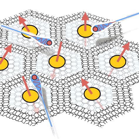 hexagonal lattice of exponentially localized wannier í µí± states