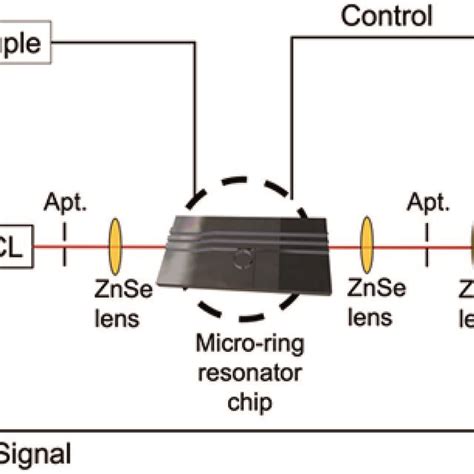 Scheme Of The Experimental Setup Comprising A Cw Ec Qcl A Download Scientific Diagram