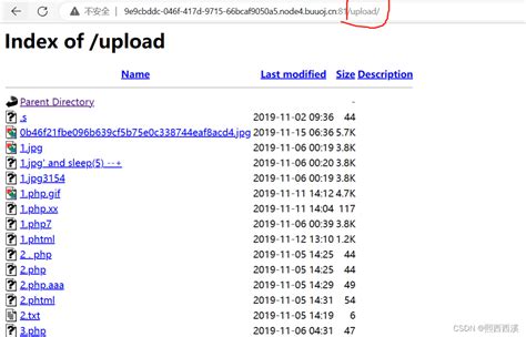 Php技术问题：url错误、木马代码与连接配置 Csdn博客