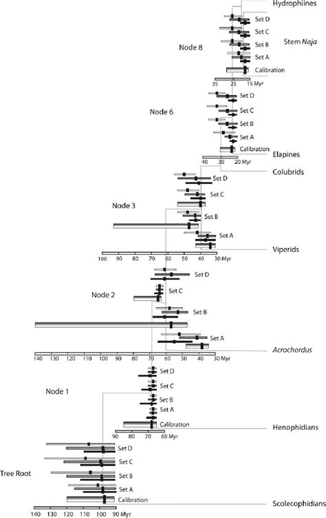 Bayesian Multifossil Calibration Analyses Showing Fossil Calibration