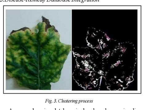 Figure 3 From Iot Based Leaf Disease Detection And Alerting System Using K Means Algorithm