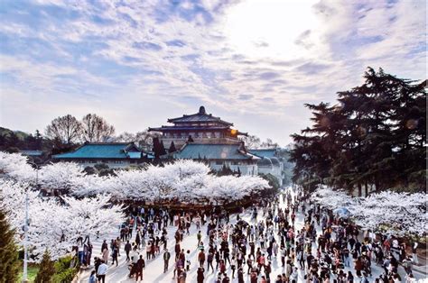 Wuhan University Whu
