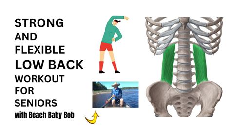 Strong And Flexible Low Back Exercises For Seniors Buy Ben Wa Balls