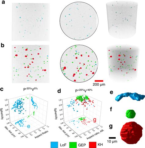 Visualization Of Volumetric Defects In L Pbf Coupons Front Top And