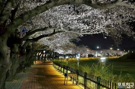 Bobby H 한 사람이 지닌 성격과 그의 사회적 성공 내지 인간적 행복에는 밀접한 관계가 있다 이시형 박사가 쓴 세로토닌하라는 책에 성공하는 성격의 특징들을