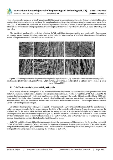 A Review On Extracellular Matrix Synthesis Using Collagen Dressings With Plant Extract PDF
