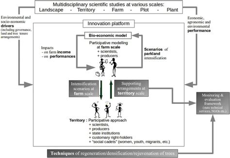 Systemic And Participative Modelling Approach Proposed For Further Download Scientific Diagram