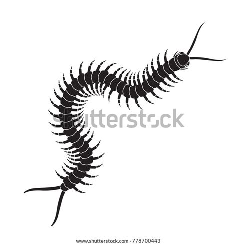 Centipede Icon Realistic Centipede Vector Stock Vector Royalty Free