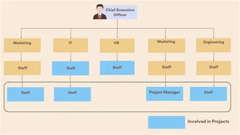 Organization Structure Functional Projectized Matrix Organizational
