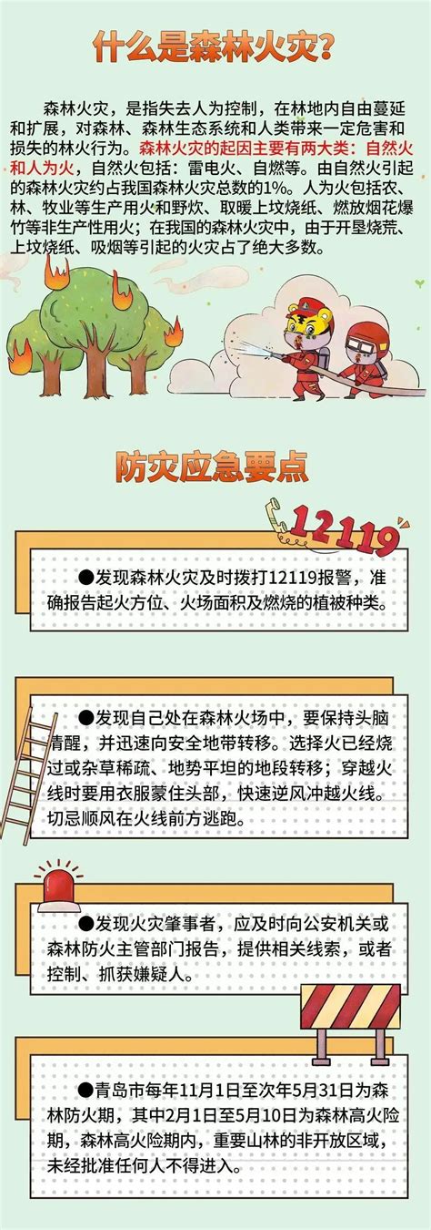 春季防火关键期 一张长图科普森林防火安全知识