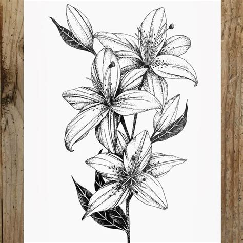Steph Rostron On Instagram Lilies Drew This For A Babe Birthday Gift Lilies Drawing