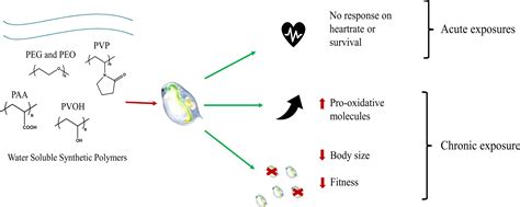 Beyond Microplastics Water Soluble Synthetic Polymers Exert Sublethal Adverse Effects In The