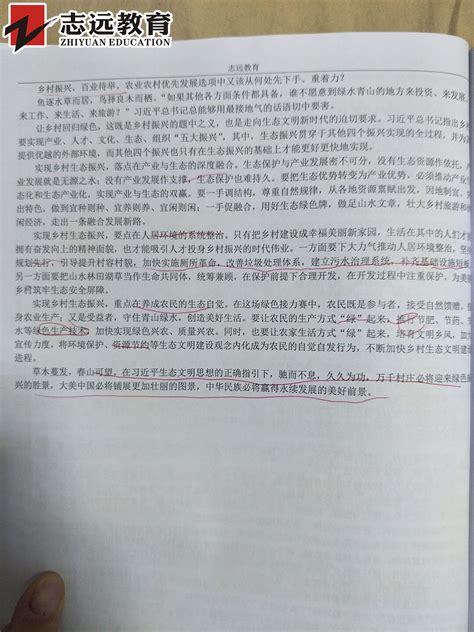 乡村振兴申论万能模板乡村振兴申论范文乡村振兴需要陪伴申论第7页大山谷图库