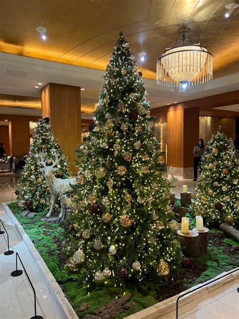 롯데호텔 서울 델리카한스 프리미엄 딸기 케이크 네이버 블로그