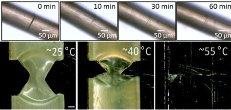 Shape Memory Effects In Self Healing Polymers Icsms