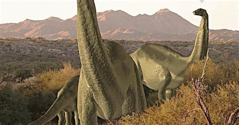 About 65 Million Years Ago Album On Imgur