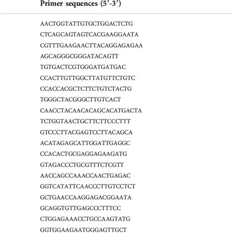 Primers For Real Time Reverse Transcription Polymerase Chain Reaction