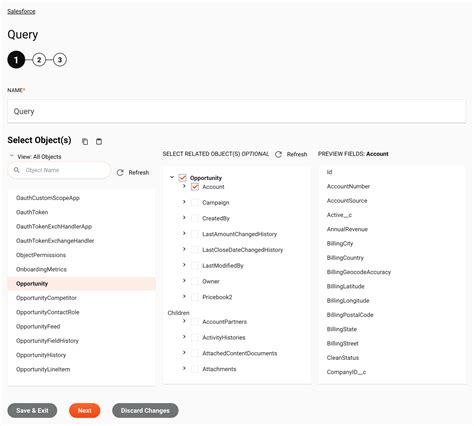 Salesforce Query Activity